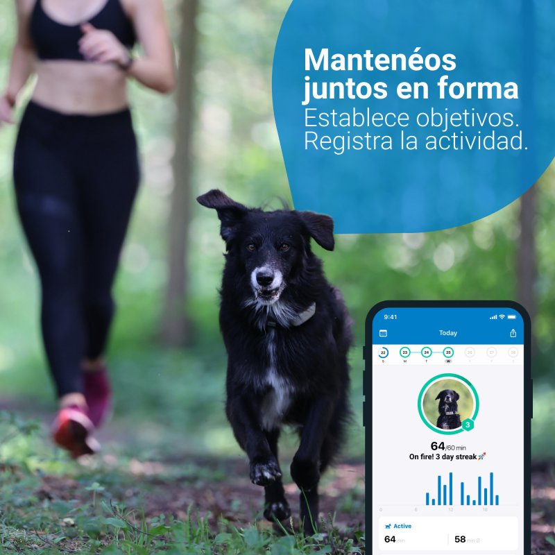 Tractive GPS DOG 4 Localizador para Perros con Seguimiento de Actividad ...