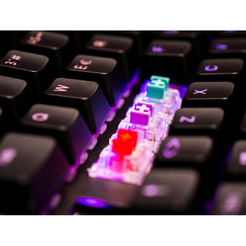 Newskill NewSwitch Switches Mecánicos para Teclado Violet ...